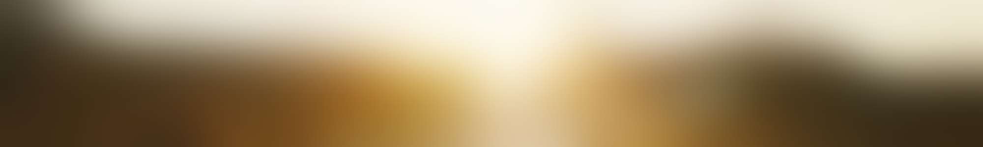 About Us - LR Auto Sales Birmingham